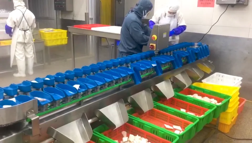 Brand New Automatic Chicken Fish Spice Tablet Sorting Machines Tomato ...