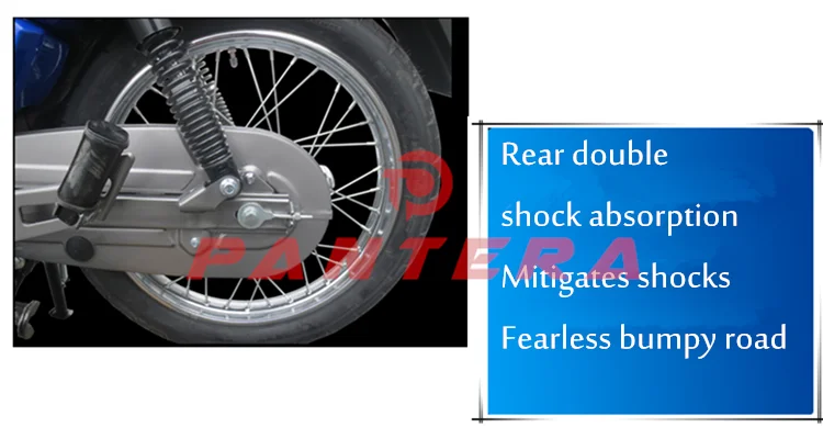 100cc Motorcycle Gas Mini Choppers for Sale - Pantera PT110