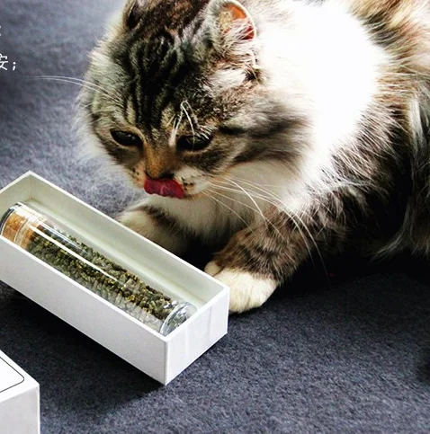 20G High-quality Appetizer Catnip Cat Food Catnip with Color Box ...