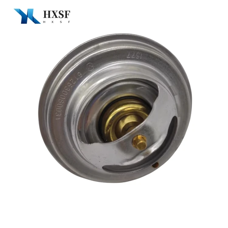 Auto Parts Cooling System Thermostat For Shacman F3000 614060135 - Buy ...