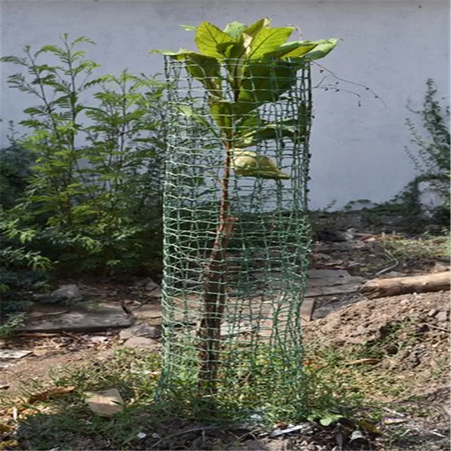 Different Types of Tree Guards for Effective Tree Protection