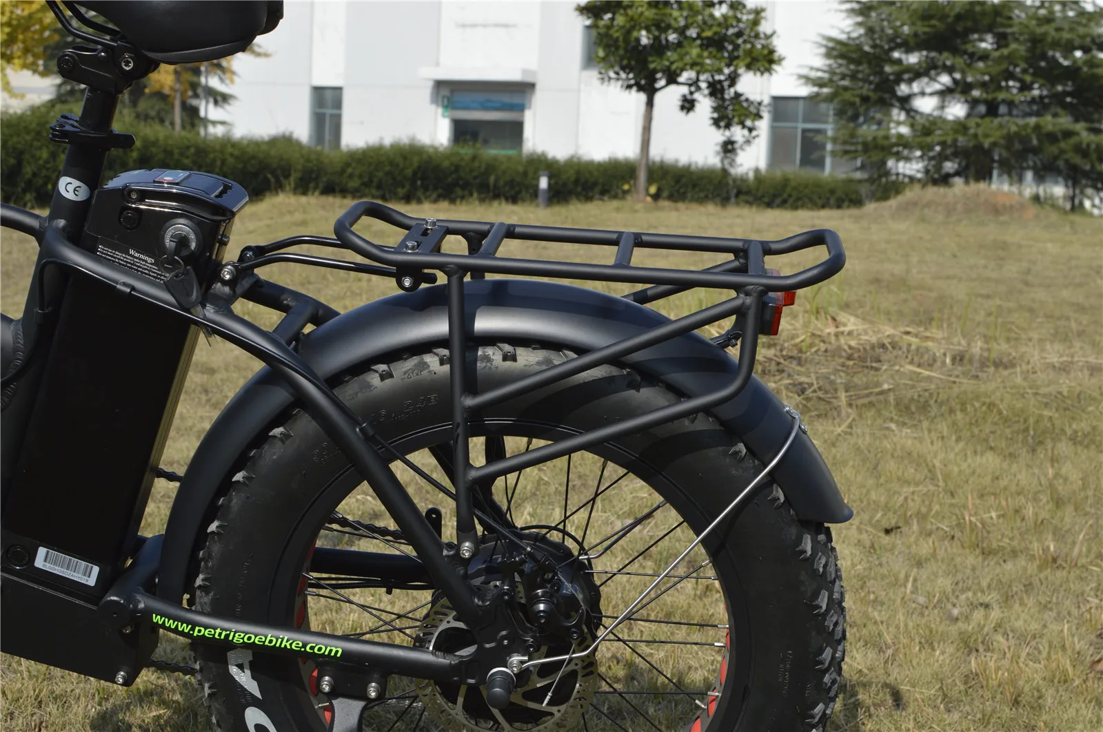 PETRIGO 20inch Fat Tire Electric Folding Bike Rear Motor Electric ...