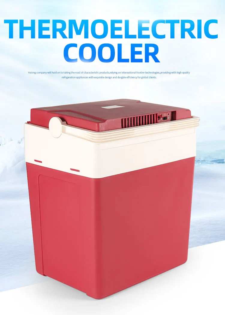 26l Electricity Thermoelectric Cooler And Warmer Refrigerator Mini ...