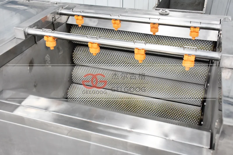 Automatic Beet Horseradish Washer - Efficient Radish Cleaning