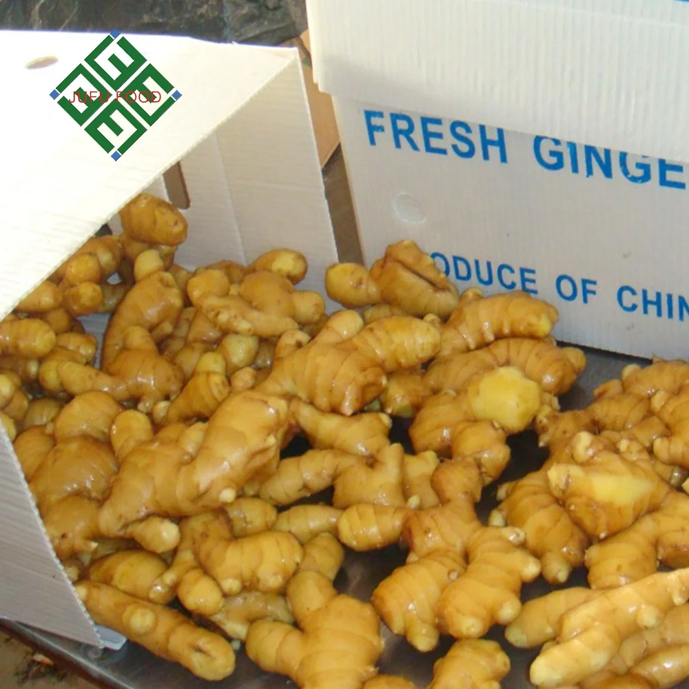Newest Crop Fresh Ginger Indonesian Fresh Ginger| Alibaba.com