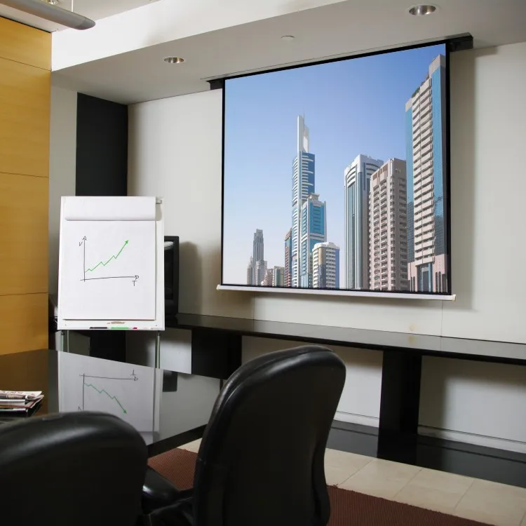 Future Slow Retract Mechanism Manual Pull-down Projector Screen