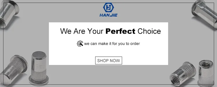 Csk Flat Reduced Head Hex Stainless Steel Blind Rivet Nuts With Open ...