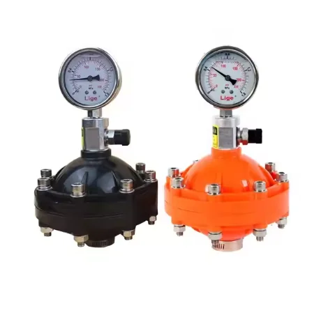 ChemSteady Diaphragm Pulse Stabilizer for Metering Pumps| Alibaba.com