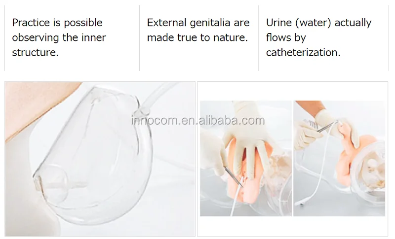 Advanced Catheter Simulator for Defecation Enema Training
