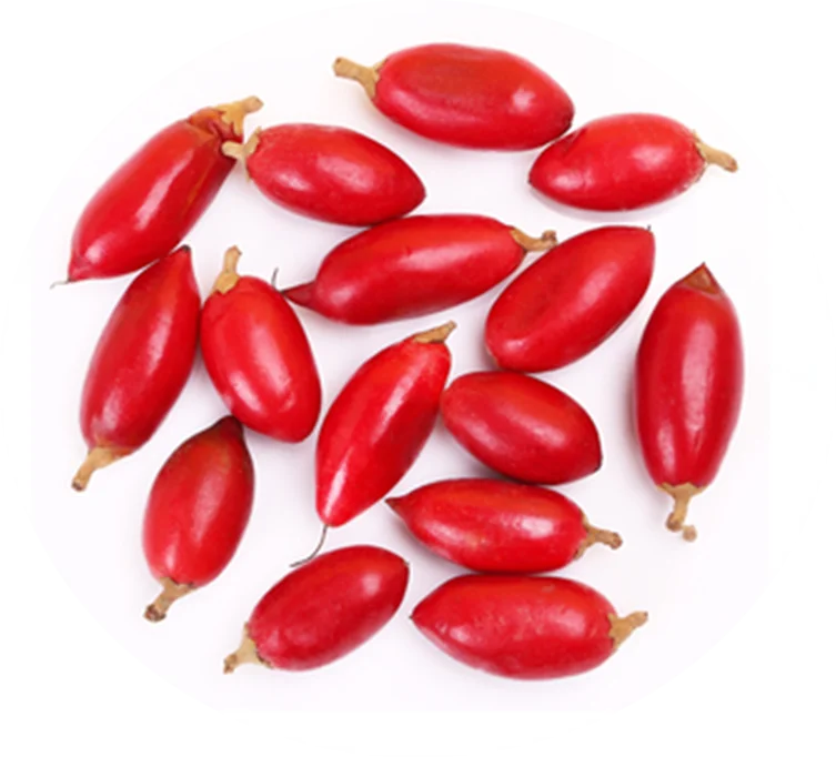 Factory Supply Wholesale Miracle Berry Extract Miracle Fruit Powder ...