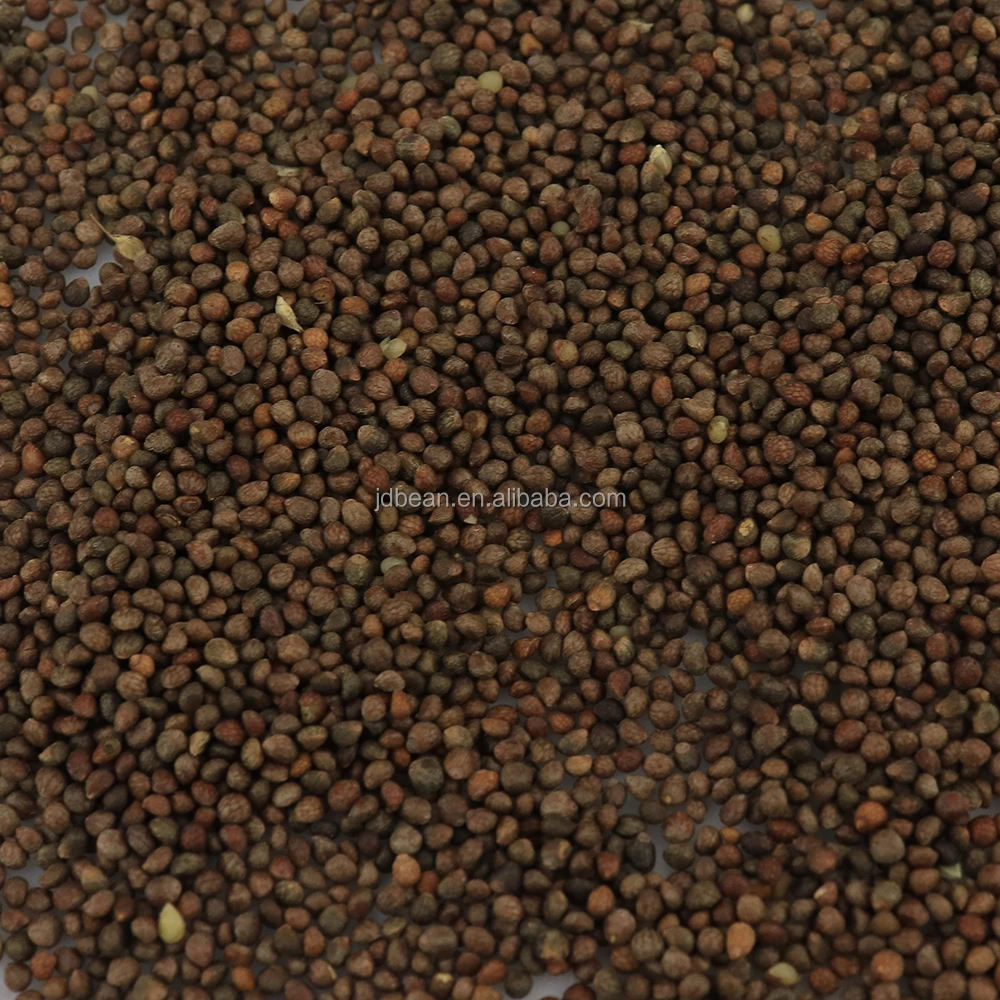 Wholesale Suzi Dried Purple Black Perilla Seeds Herbs and Spices Edible ...