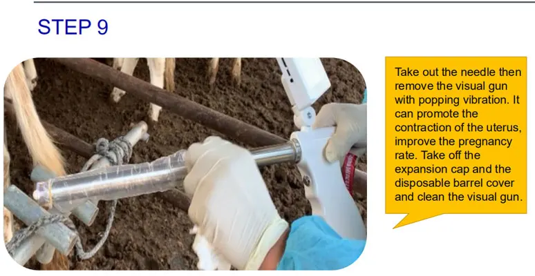 Camera AI Gun Animal Cattle Cow MSLDE03 - Veterinary Insemination