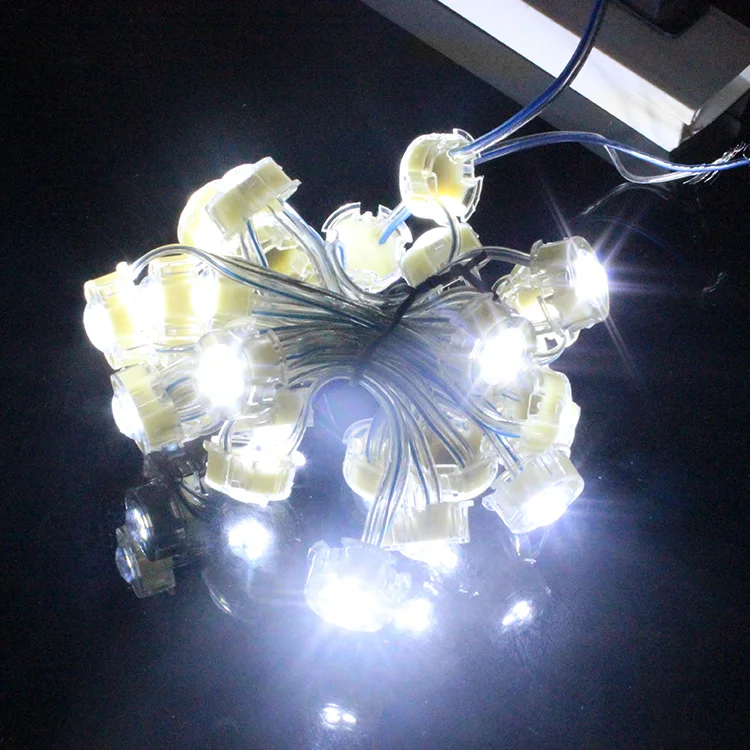 LED Point Light Pixel Light 20/30/40/50mm RGB | IP65 Landscape Lighting ...