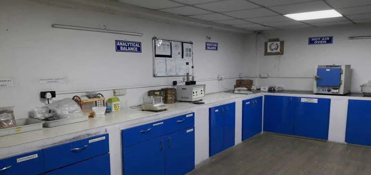 CELLULOSE FIBER Cellulose Fiber for Road Construction Cellulose Fiber ...