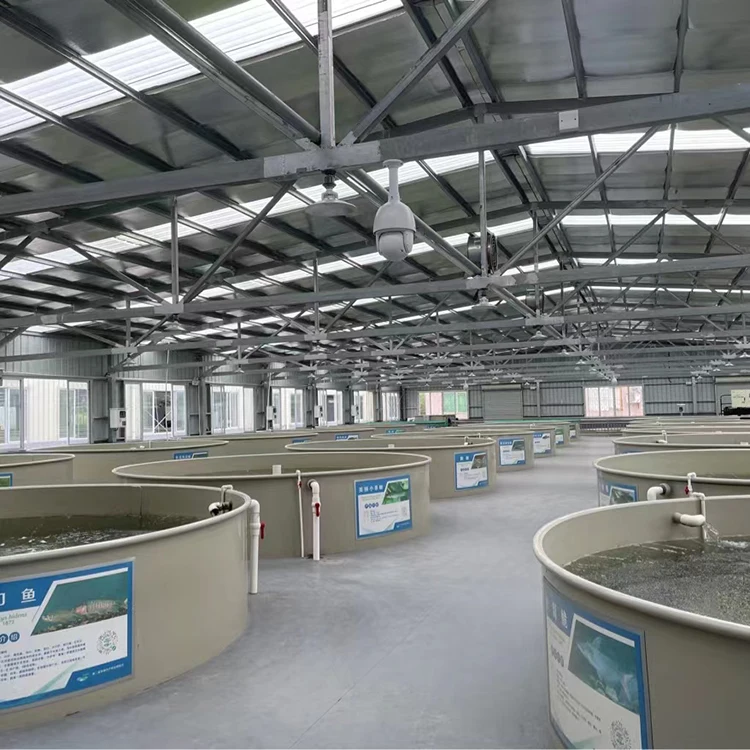RAS System Indoor Fish Shrimp Farming Equipment - High Density
