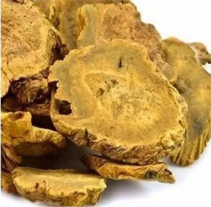 Rheum Officinale Chinese Herbal Medicine Plant Roots And Stems - Buy ...
