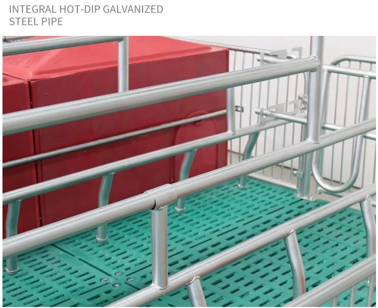 Pig Farrowing Cages - Sustainable & Rodent Proof Solutions