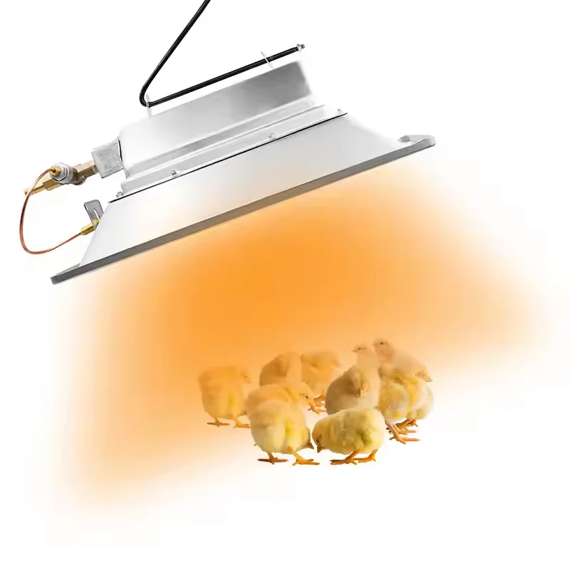 New Manual Ignition Infrared Ceramic Gas Heater Brooder Equipment for ...