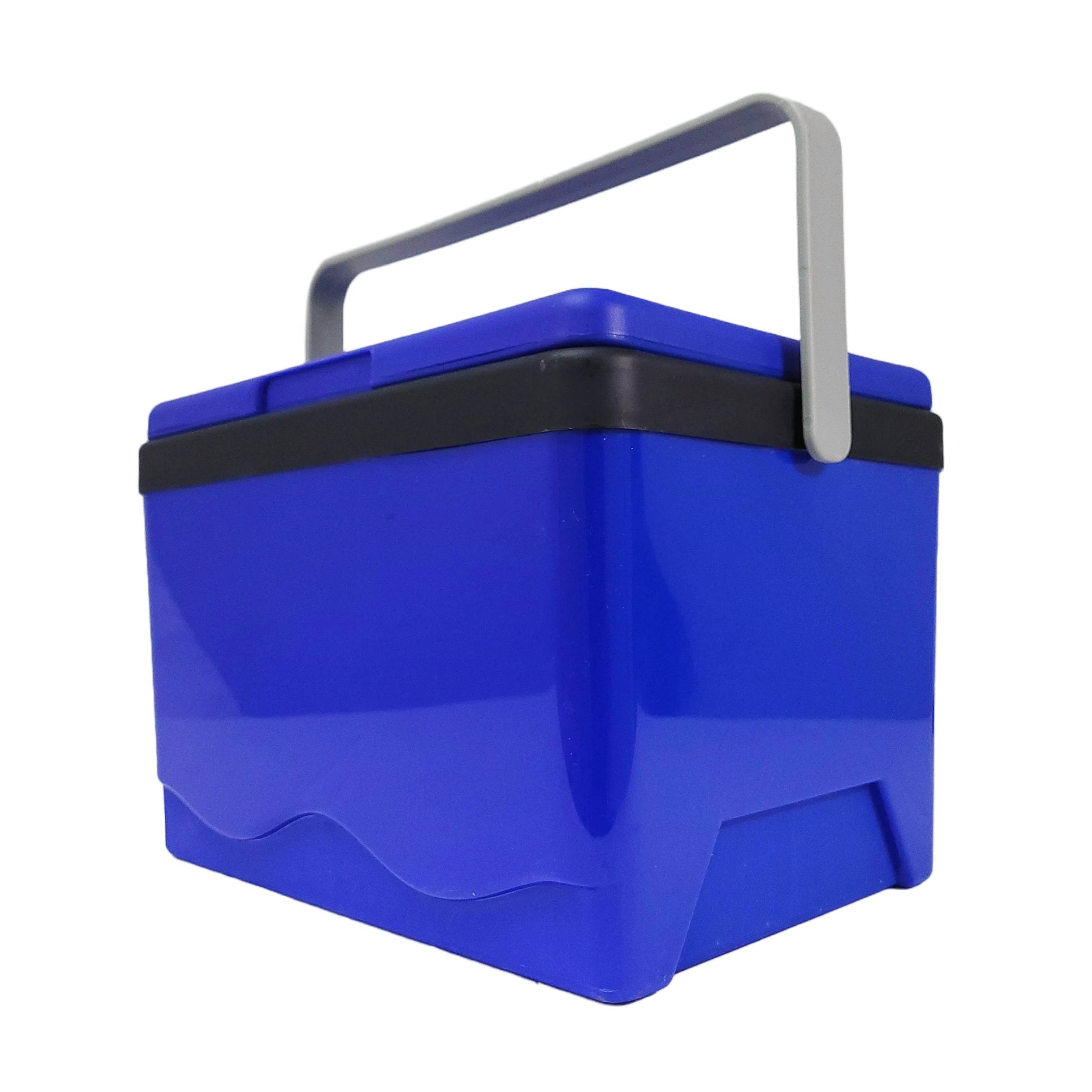 Cooler Box 10l Outdoor Ice Chest Beverage Insulated Cooling Box Plastic ...