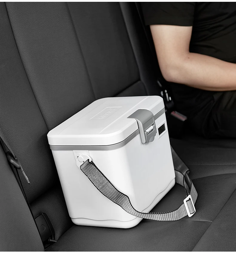 4.5L Mini Ice Cooler - Perfect for Outdoor Camping & Picnic