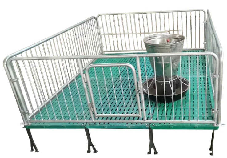 Pig Farrowing Cages - Sustainable & Rodent Proof Solutions
