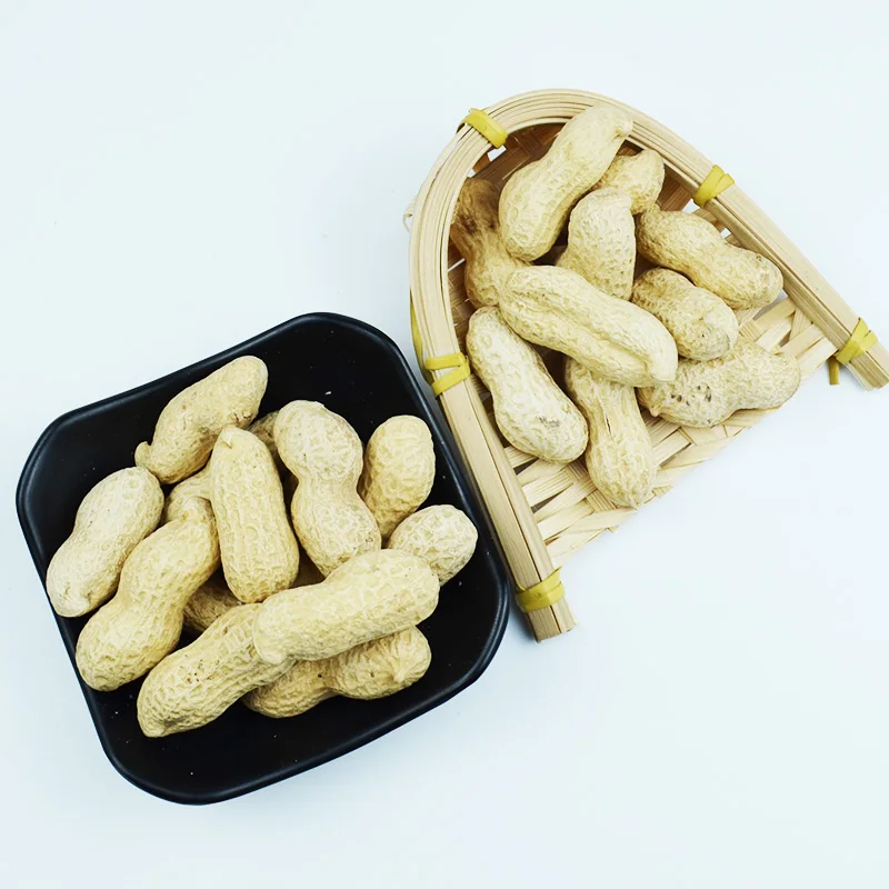 Factory Natural Organic Roasted Peanut in Shell Hai Hua Type Nuts ...