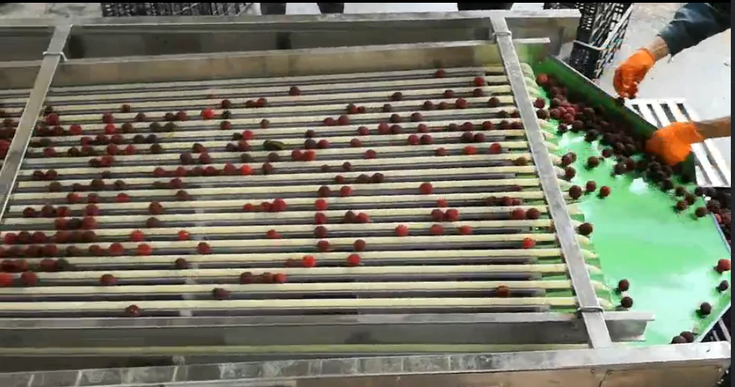 500-2000kg/h Automatic Mango Grading Tomato Sorter Cherry Strawberries ...