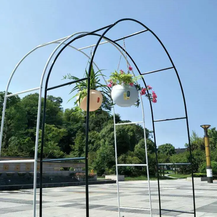 Black Metal Garden Arch with Gate for Climbing Plants – Perfect Floral ...