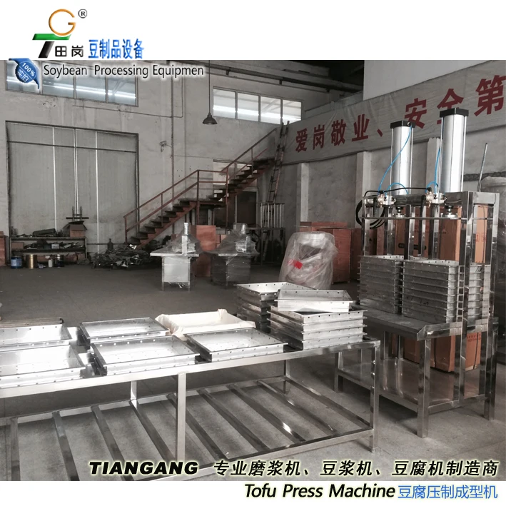TG-300 Tofu Machine - High Productivity & Reliable Quality