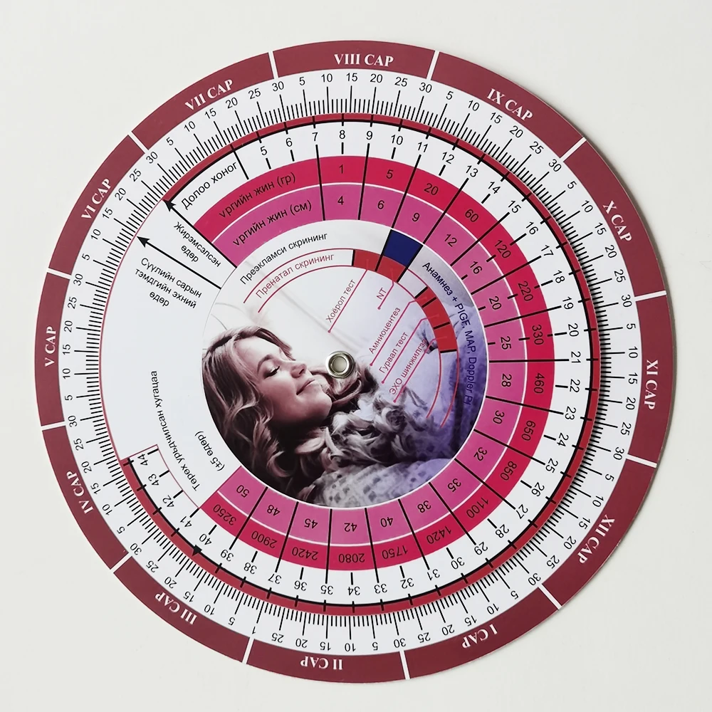 Plastic Pregnancy Wheel Due Date Calculator for OB/GYNs & Nurses | OEM ...