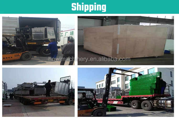 Bean Sprout Machine - Automatic Germination Equipment