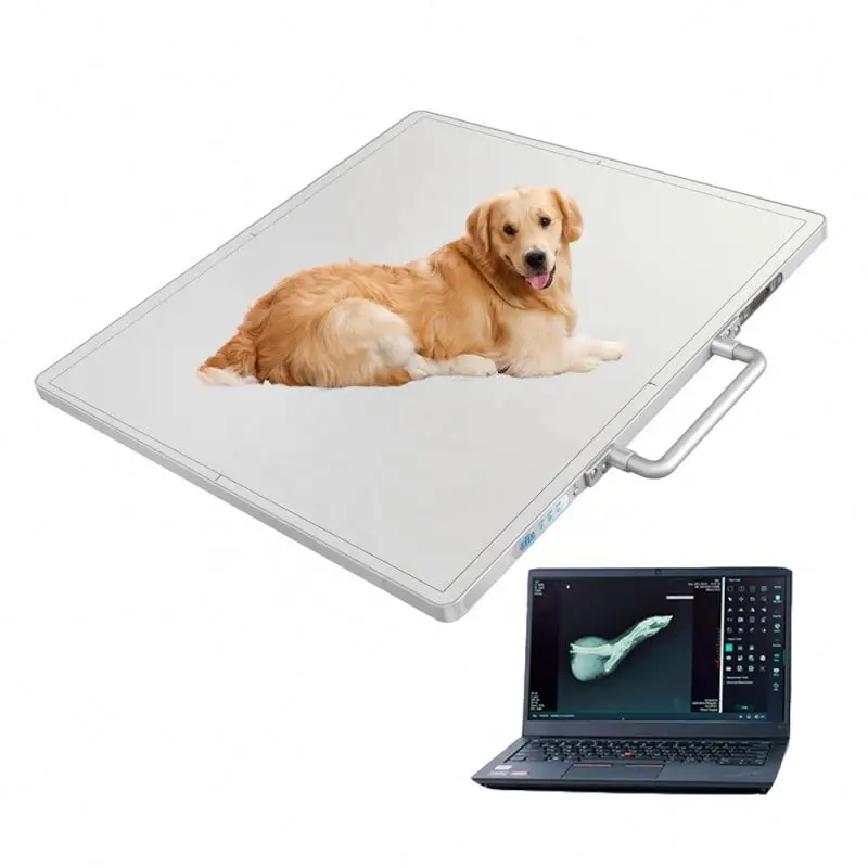 Famous Flat Panel Detector Digital Panel Iray Dr Panel 2020 Imaging ...