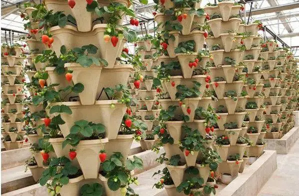DIY Stacking Planters - Colorful, Anti-Uv, and Durable