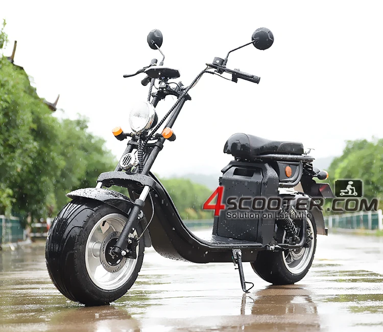 EEC COC Approved Citycoco Electric Scooter - 4000W Power