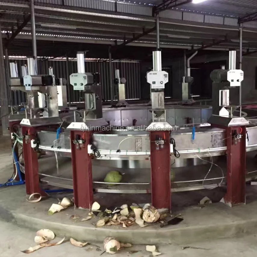 Automatic Coconut Peeling Machine - Efficient & Durable