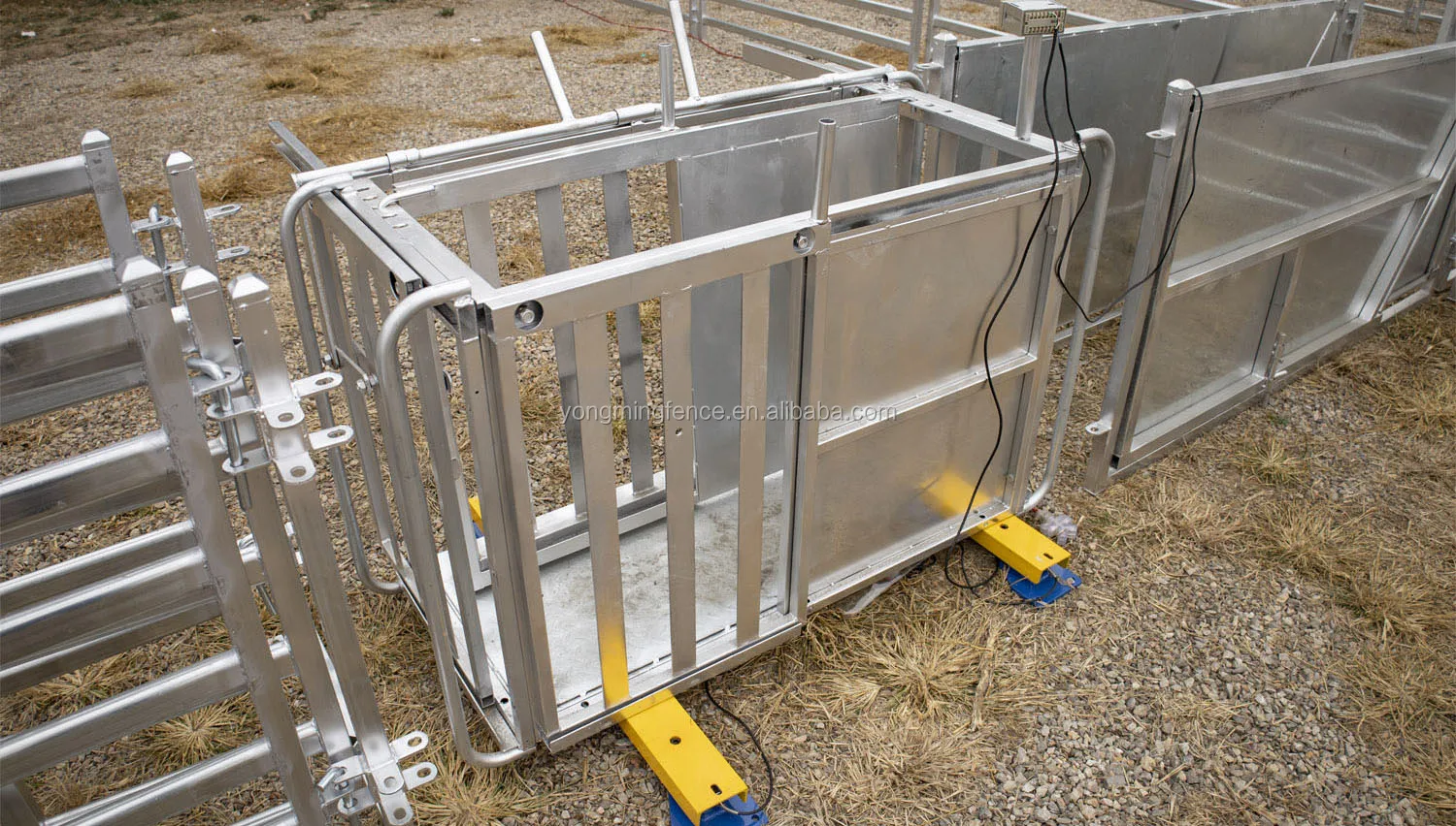 China Sheep Yard Vet Squeeze Sheep Crush Sheep Handler - Buy Sheep ...