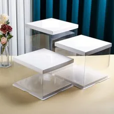 Zx 8-inch Single And Double-layer Clear Box,Orange Plastic Cake ...