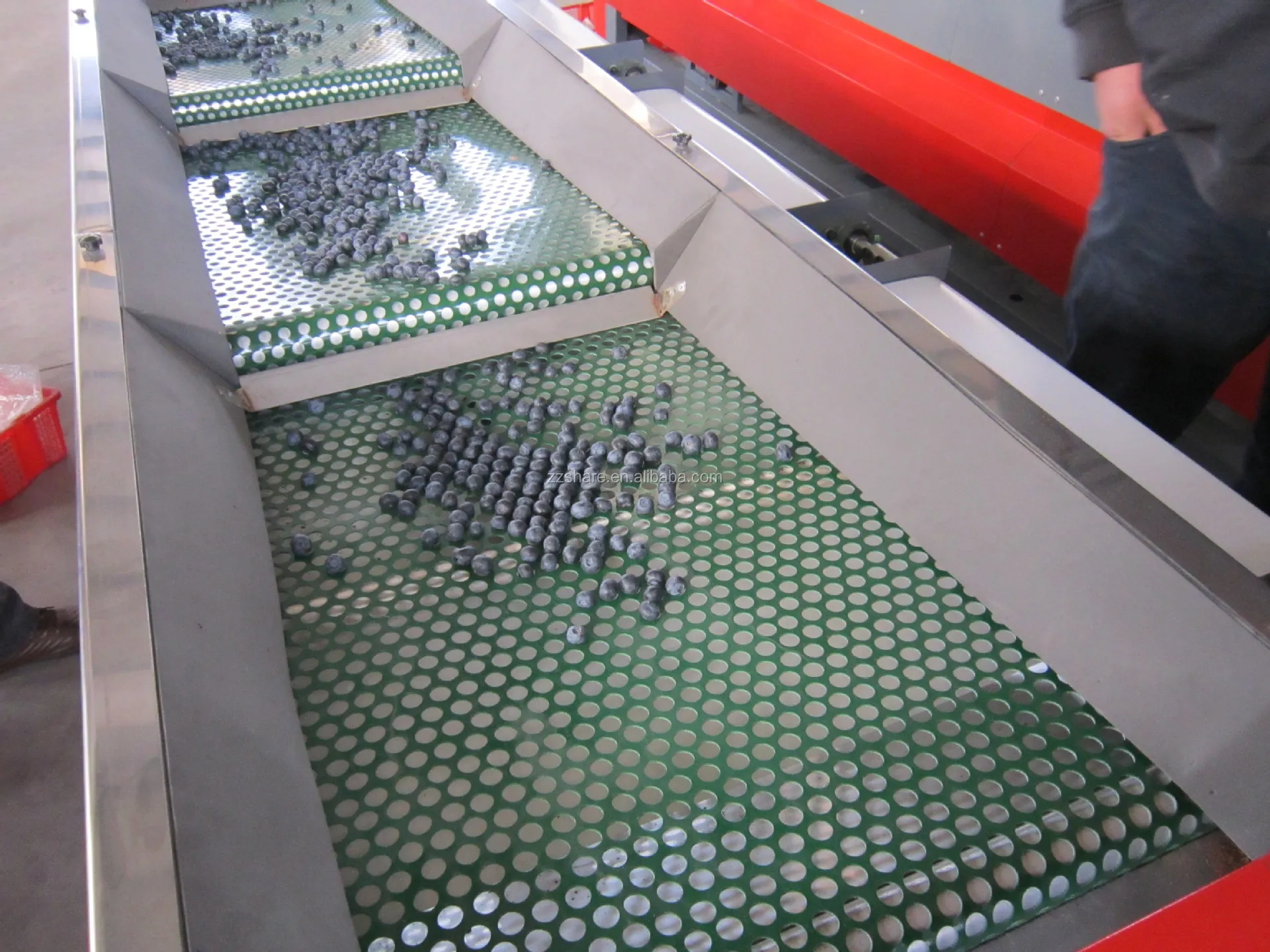 Best Selling Fruit Size Blueberry Sorting Machine - 400kg/h