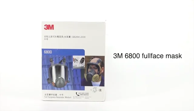 Weliftrich 6800 Full Face P100 Filter Particulate Filter P100 ...