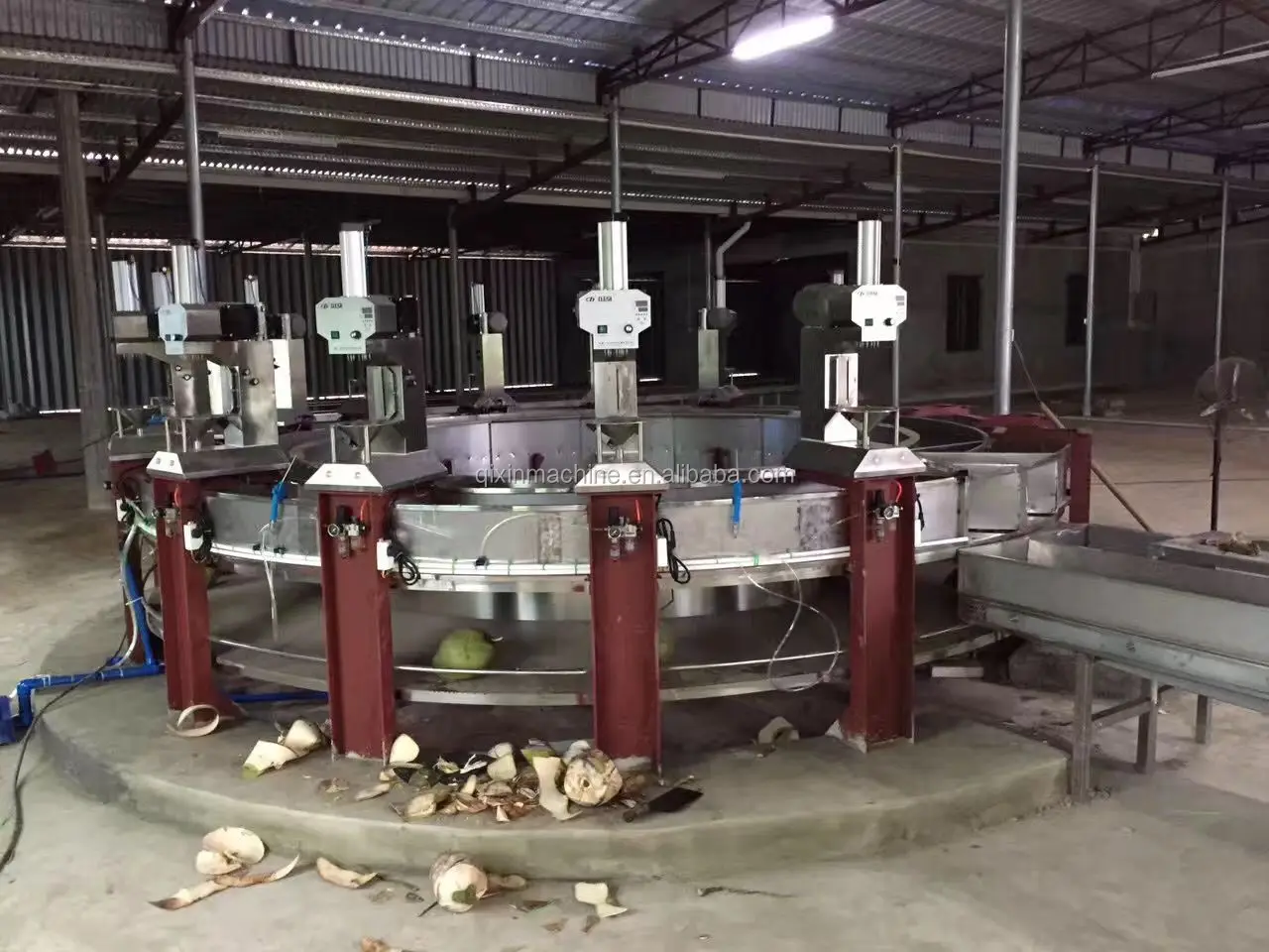 Máquina Peladora de Cocos Automática / Máquina Cortadora de Cocos ...