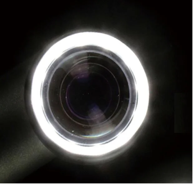 Antique Diamond Identification Magnifying Glass with Light Bracket ...