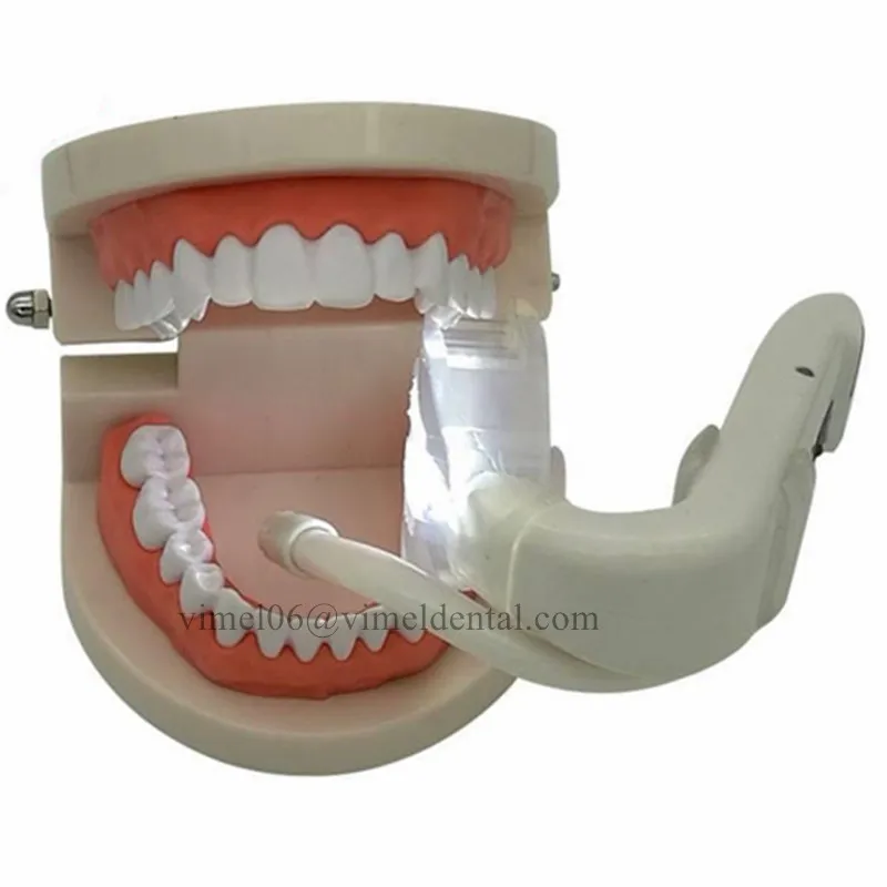 Maxbite Wireless Led Dental Intraoral Lighting Mini Mouth Light Dental ...