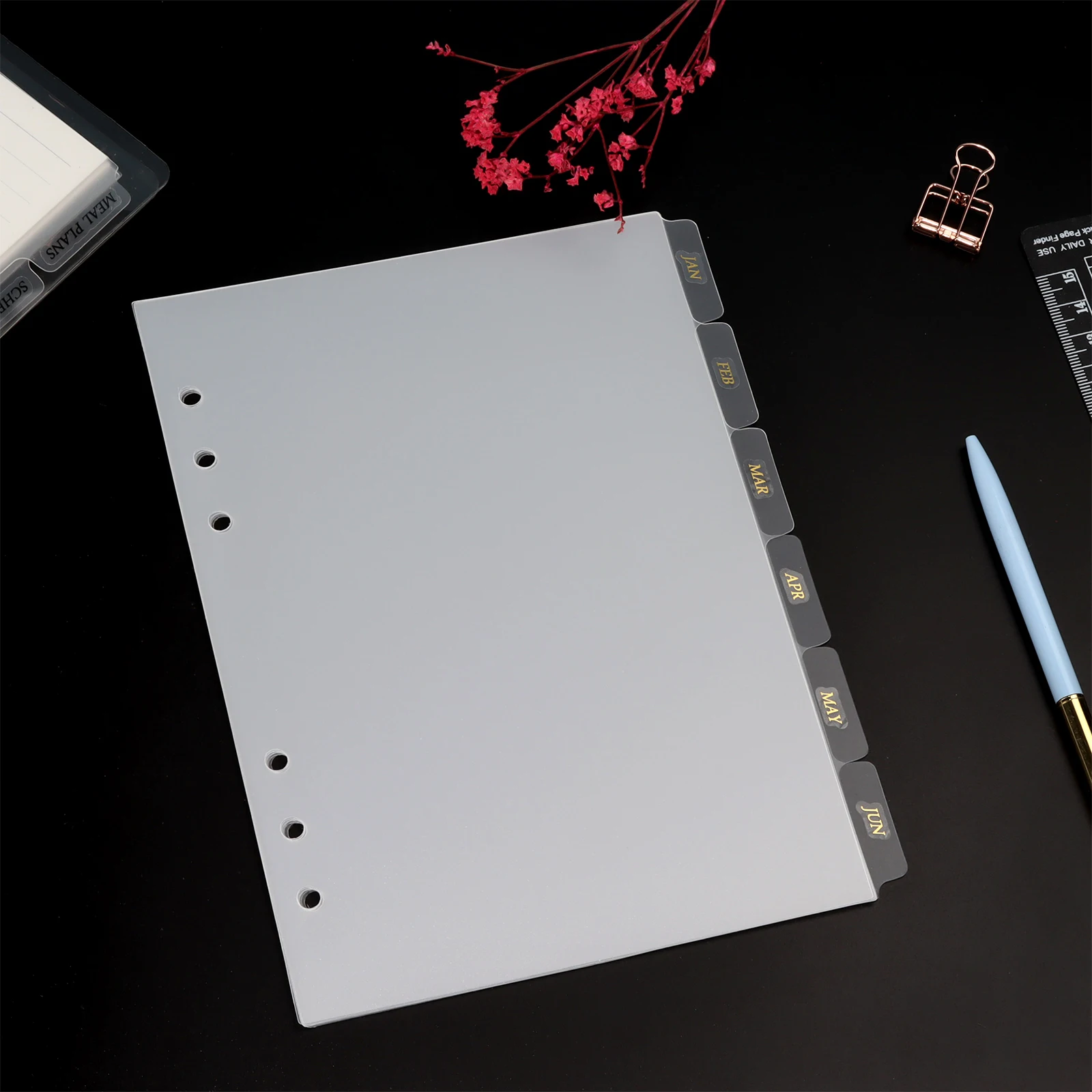 Frosted Pp Monthly A5 Tab Dividers Plastic 6 Ring Punch Hole Planner ...