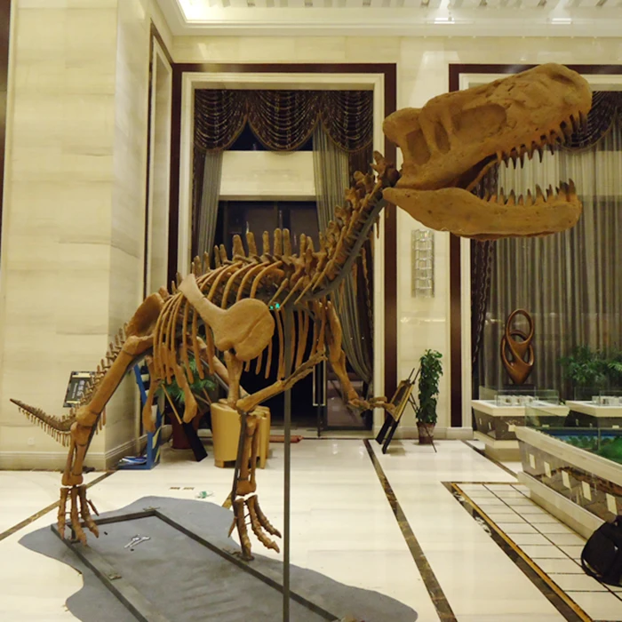 Excavation Artificial Real Dinosaur Fossil Mold for Sale