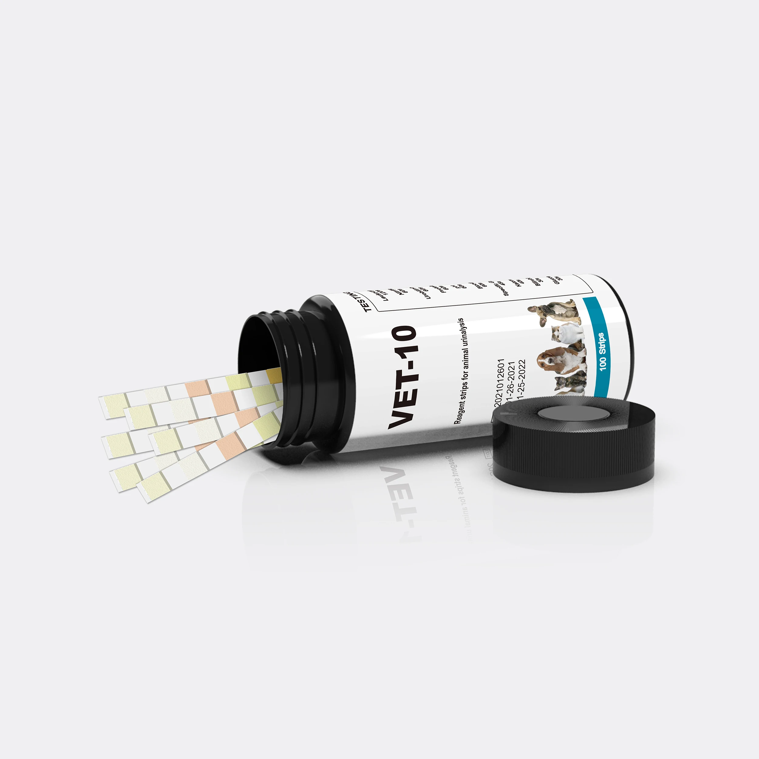 Vet 10 Urinalysis Reagent Strips For Canine/feline - Buy Test Strips ...