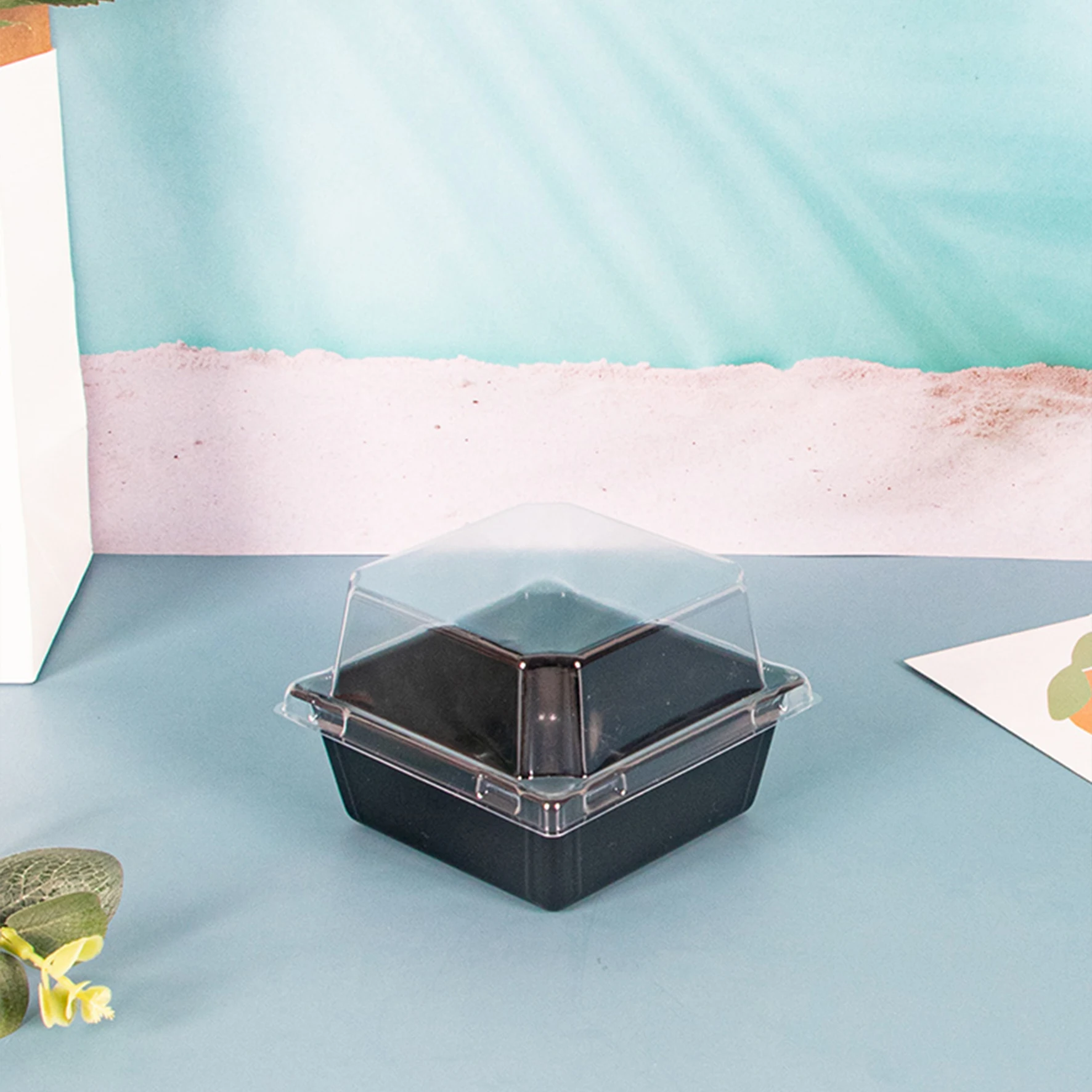 Ecofriendly Plastic Package - Melaleuca Mousse Cake Box