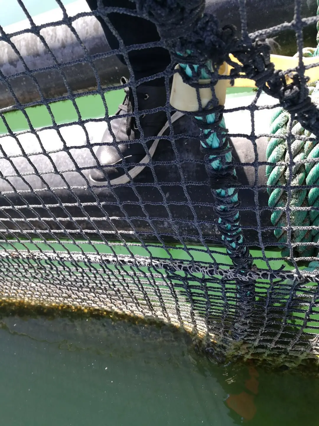 Aquaculture Fish Farming Net Cage System - Durable & Customizable