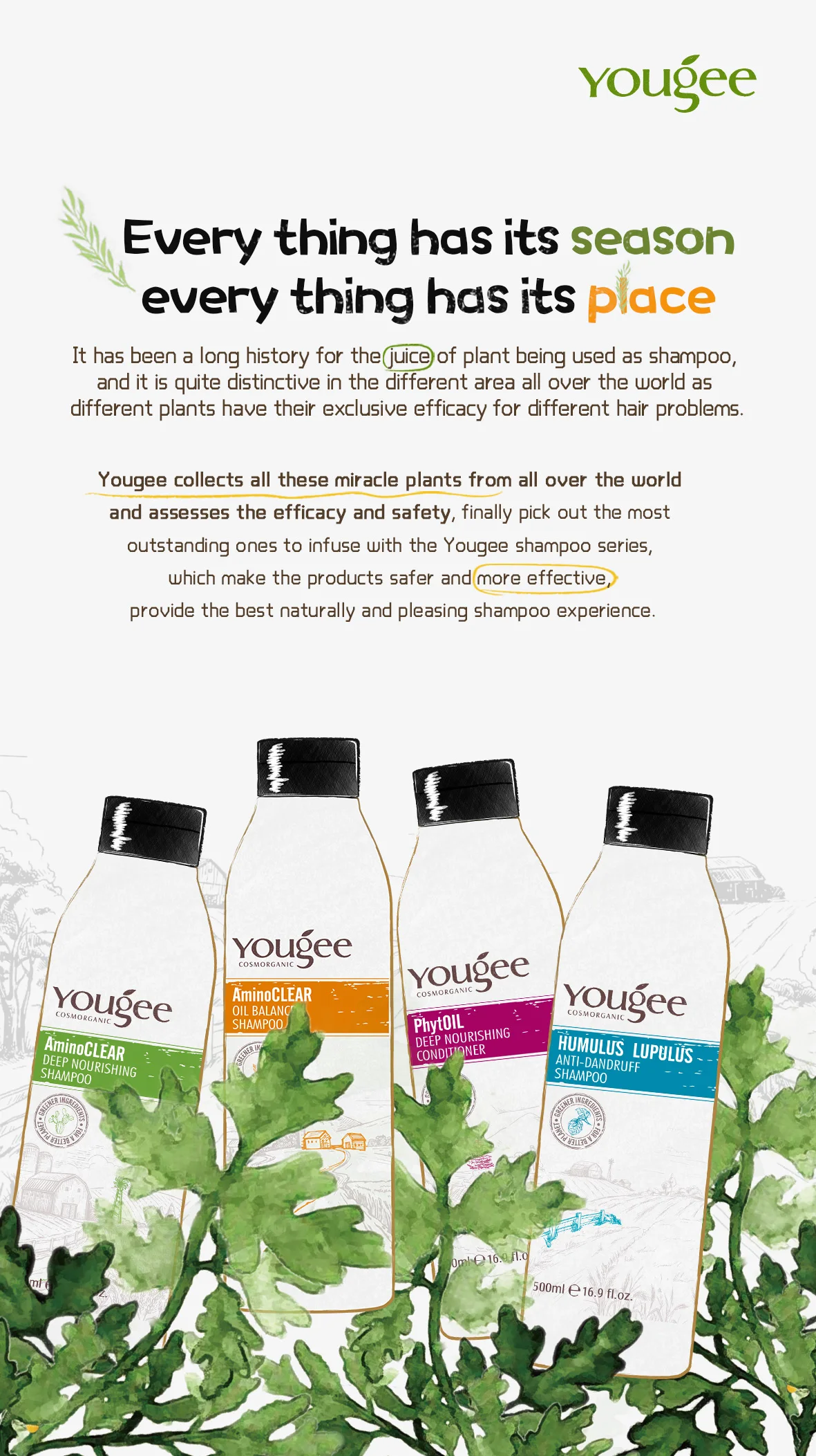Yougee Organic Oil Control Shampoo - Anti-Itching & Nourishing