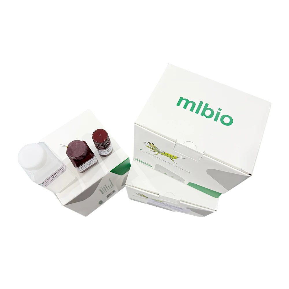 Na+K+-ATPase Activity Assay Kit| Alibaba.com