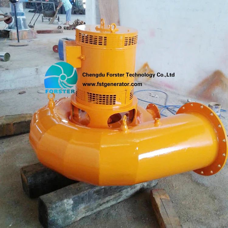 Mini Hydro Turbine with Automatic Voltage Regulator 220V